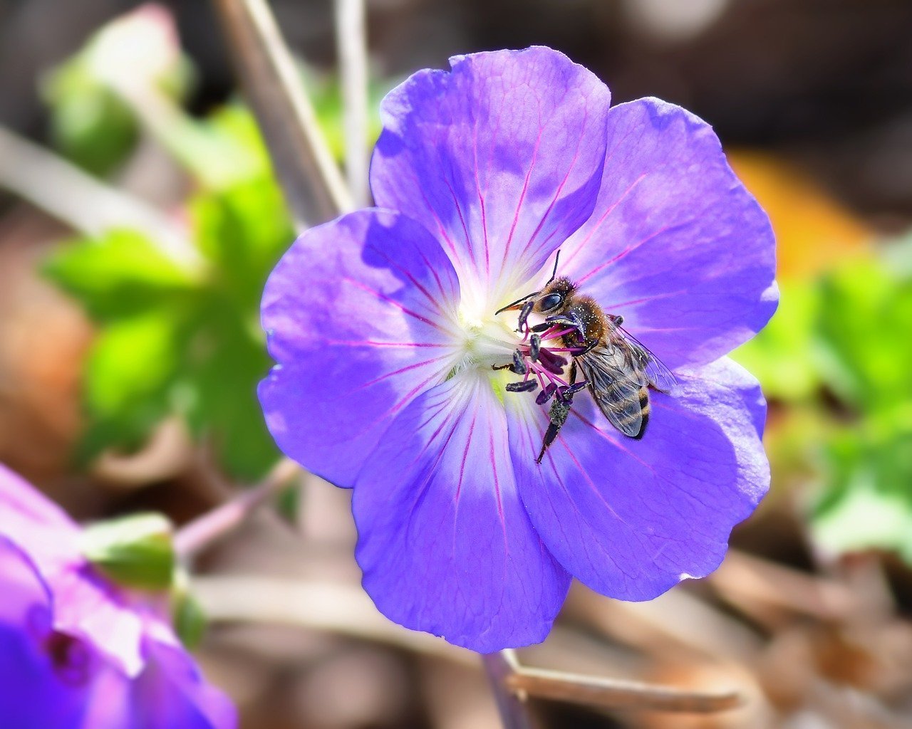 Malaysia's Maritime and Offshore Engineering Technology Workforce ...