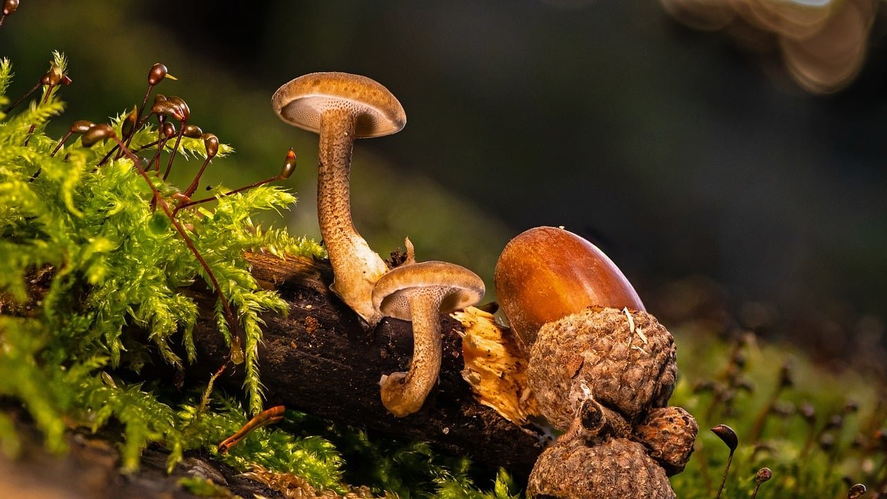 Court deems Putin “morally culpable” for UK nerve agent fatality - Emas ...